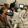 Master of Science in Pathology Laboratory Sciences | Pathology ...