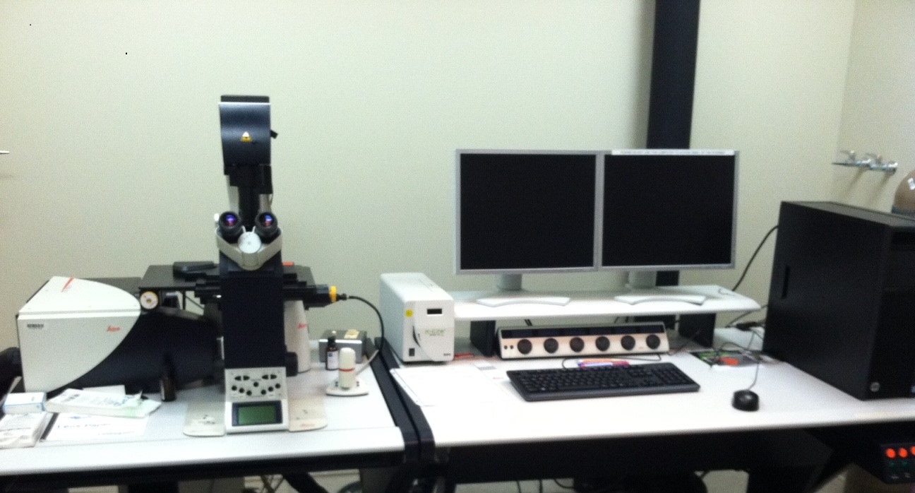 Leica SP5 Confocal Microscope | Chobanian & Avedisian School of Medicine