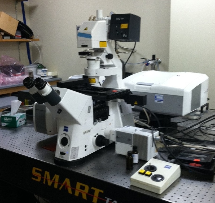 Zeiss LSM 710-Live Duo Scan | Chobanian & Avedisian School of Medicine