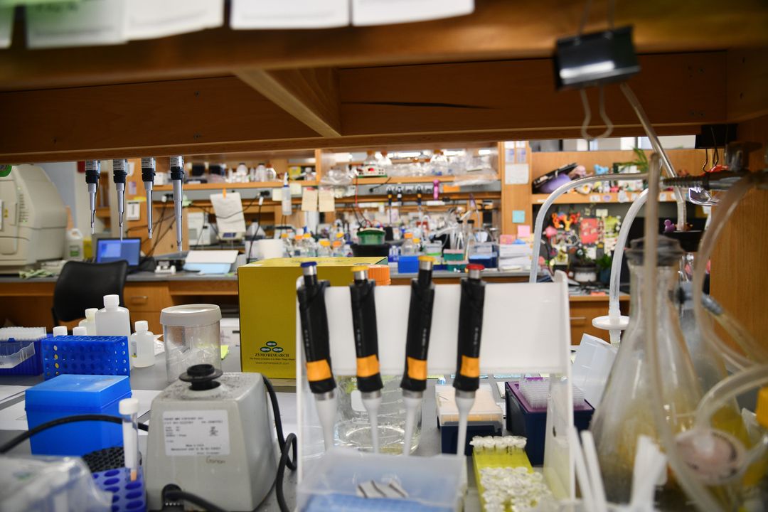 Office of the Dean | Chobanian & Avedisian School of Medicine