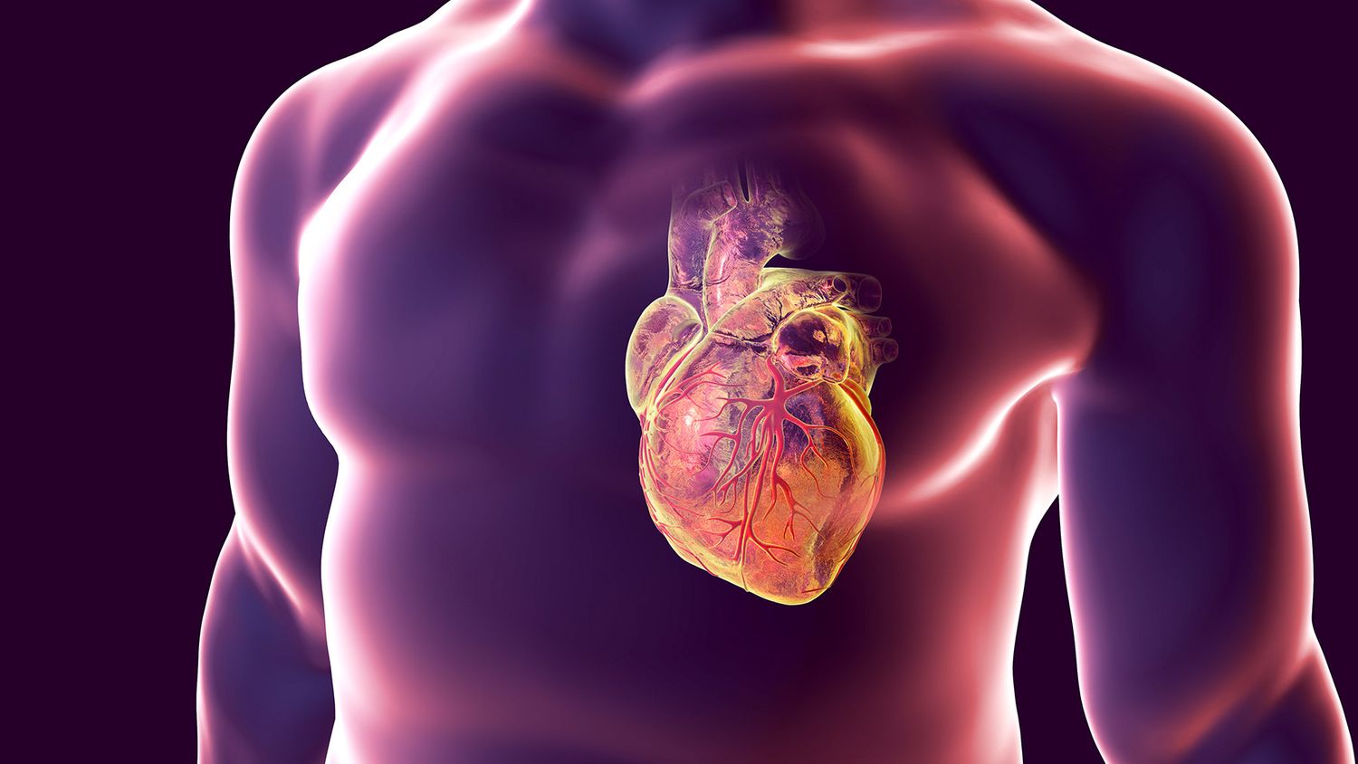 Cardiovascular Medicine