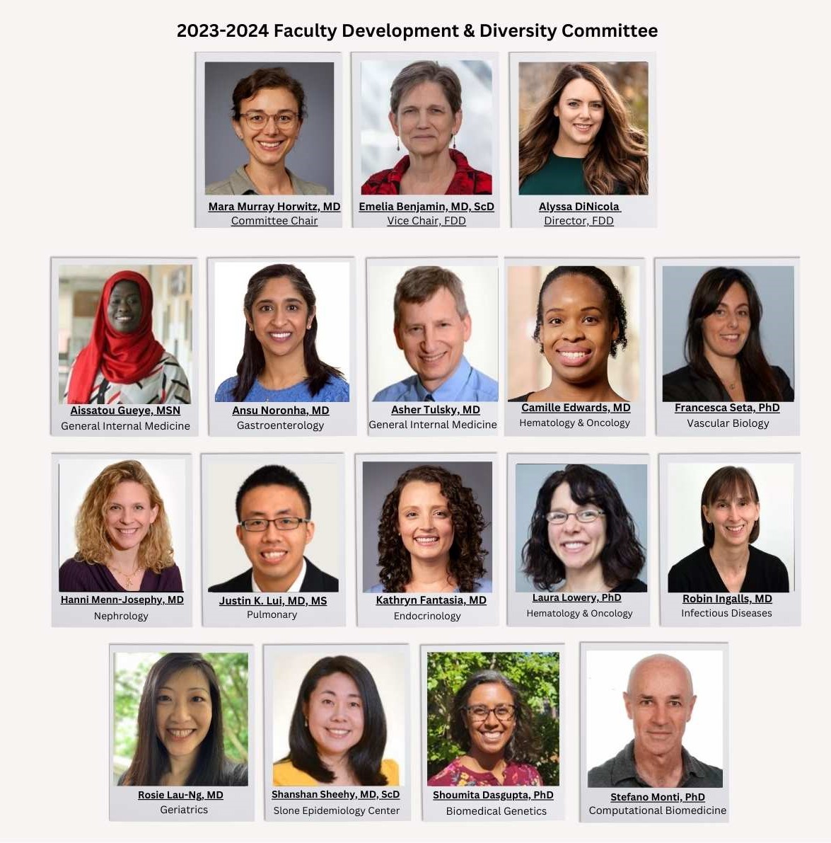 Faculty Development & Diversity Committee | Faculty Development & Diversity