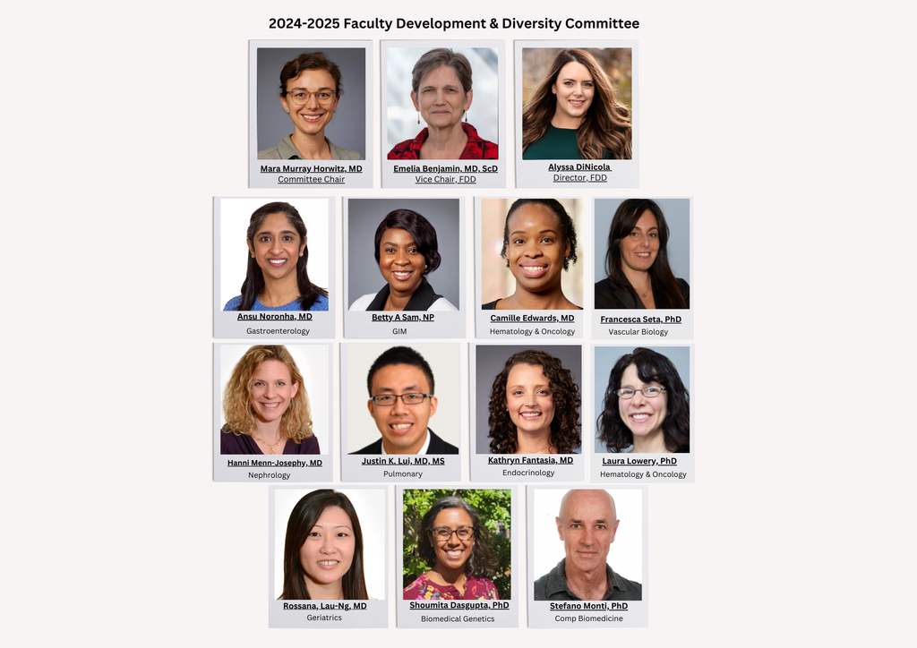 Faculty Development & Diversity Committee | Faculty Development & Diversity