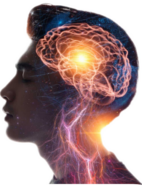 Framingham Heart Study Brain Aging Program