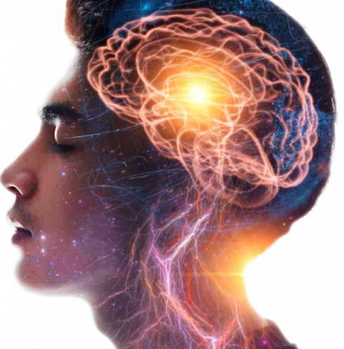 Framingham Heart Study Brain Aging Program