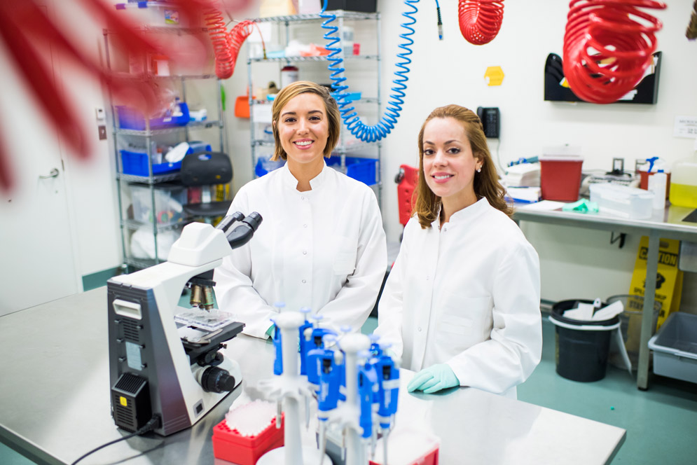 NEIDL Researchers Create Tool to Study New Virus | Boston University ... NEIDL Researchers Create Tool to Study New Virus | Boston University ...