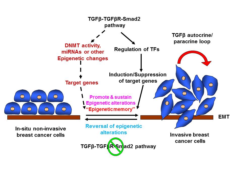 Sam Thiagalingam, Ph.D. | Biomedical Genetics