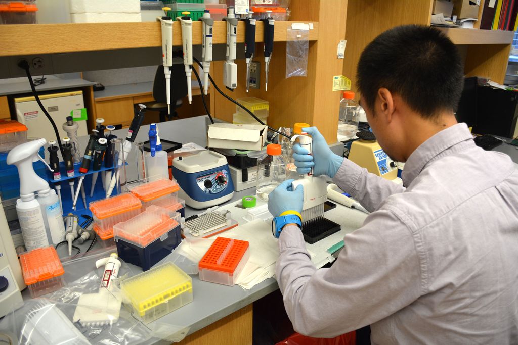 Education and Training | Biomedical Genetics