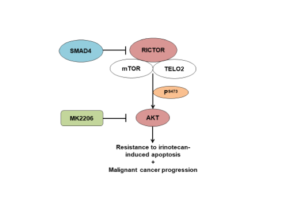Sam Thiagalingam, Ph.D. | Biomedical Genetics