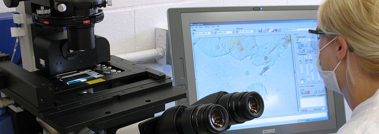 MS in Biomedical Forensic Sciences | Graduate Medical Sciences