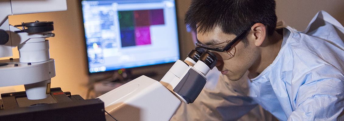 MS in Biomedical Research Technologies | Graduate Medical Sciences