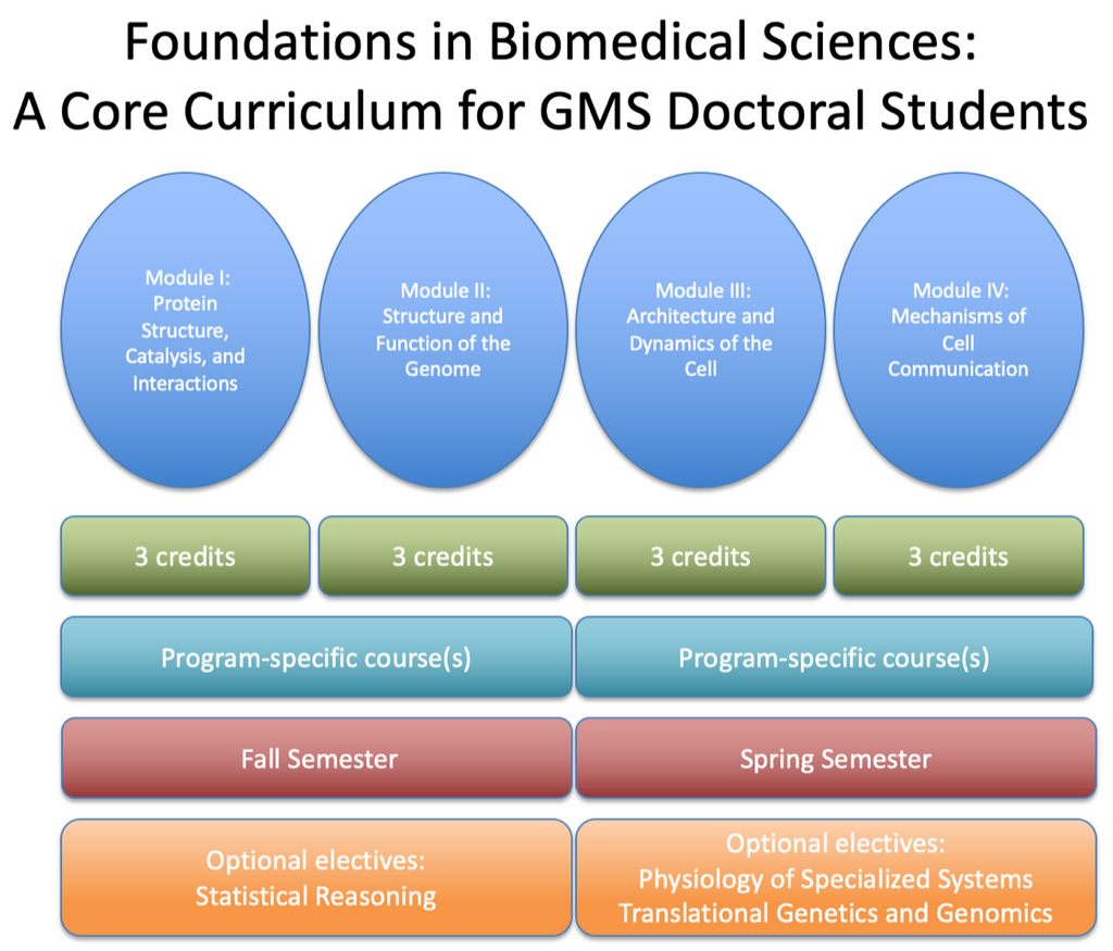 FBS I : Foundations in Biomedical Sciences | Graduate Medical Sciences