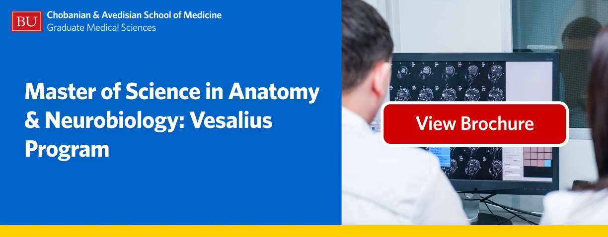 MS in Anatomy & Neurobiology: Vesalius Program | Graduate Medical Sciences