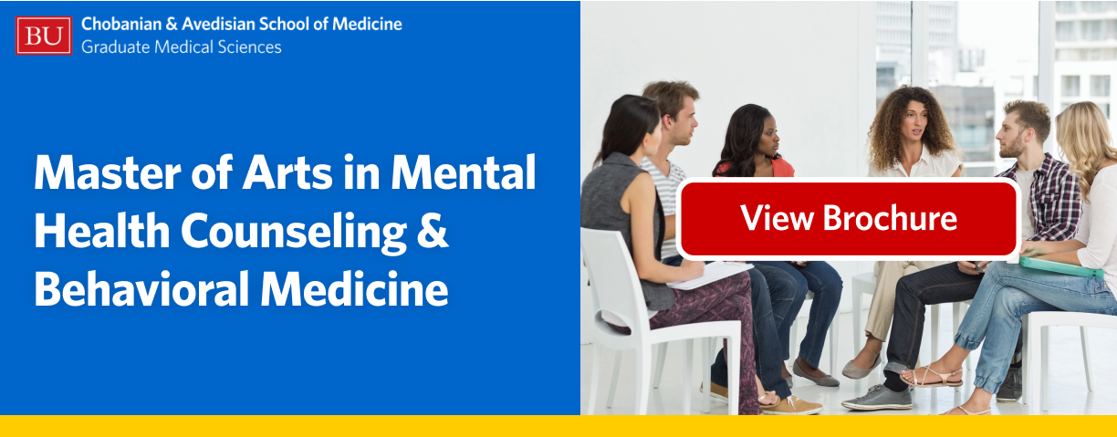 MA in Mental Health Counseling and Behavioral Medicine Brochure ...