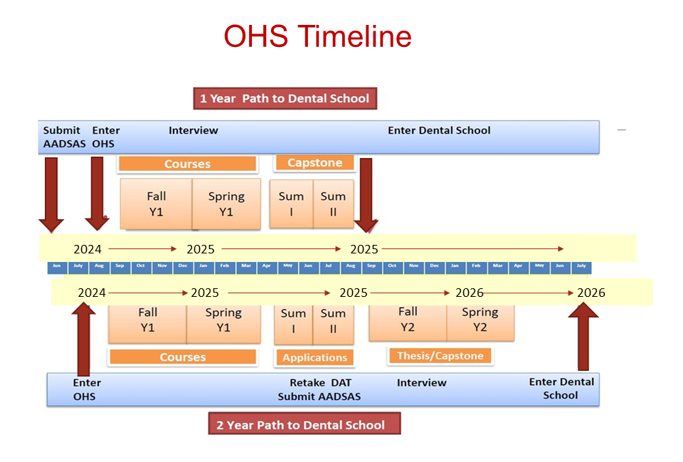 Oral Health Sciences Curriculum | Graduate Medical Sciences