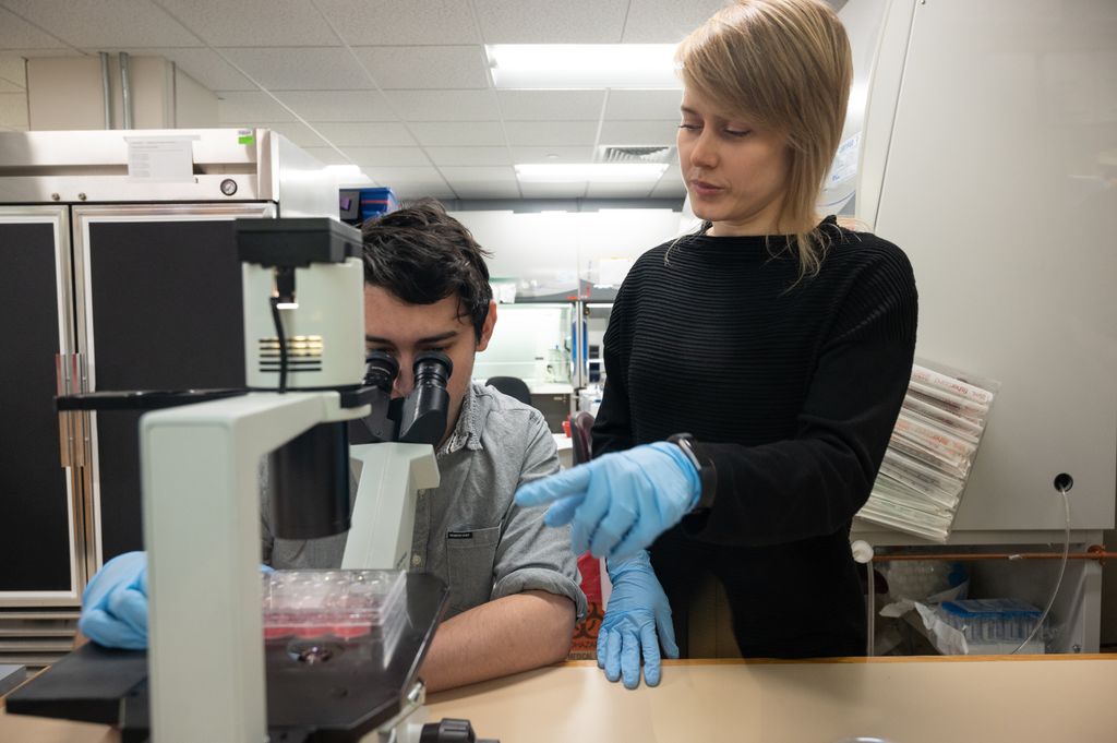 Research Program | Hematology & Medical Oncology