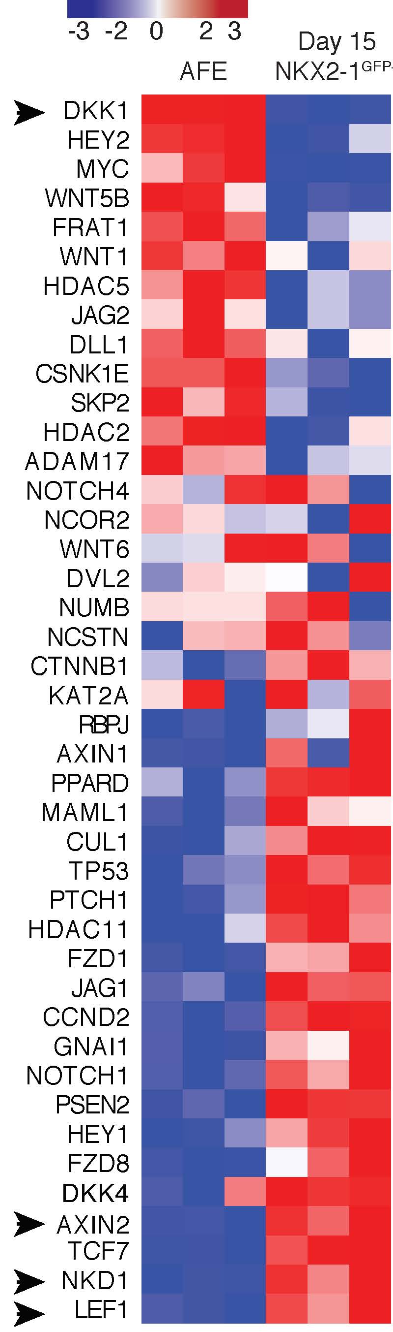 Bioinformatics portal | Kotton Lab