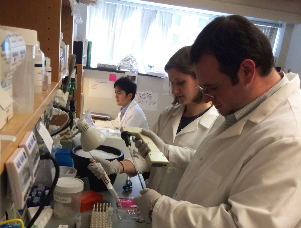 Research Centers | Medicine