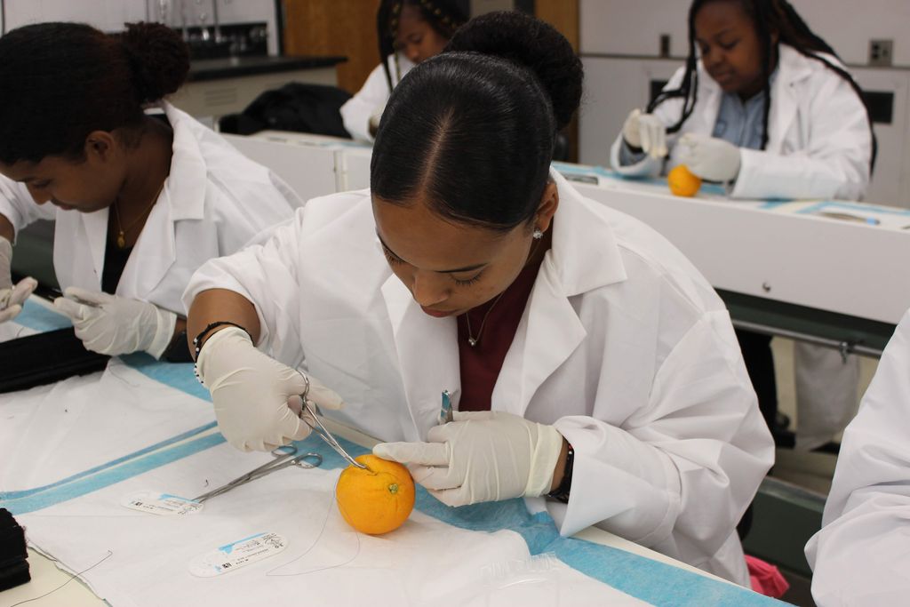 BU Education, Advising & Mentoring in STEM (BEAMS) | Medical Sciences ...