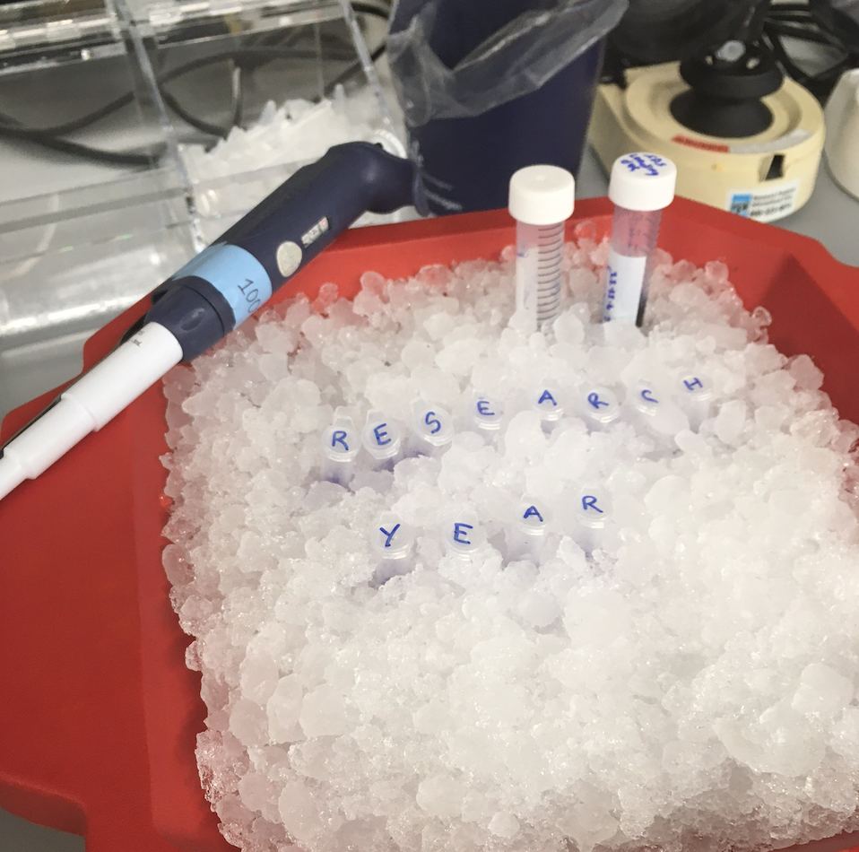 Medical Student Research