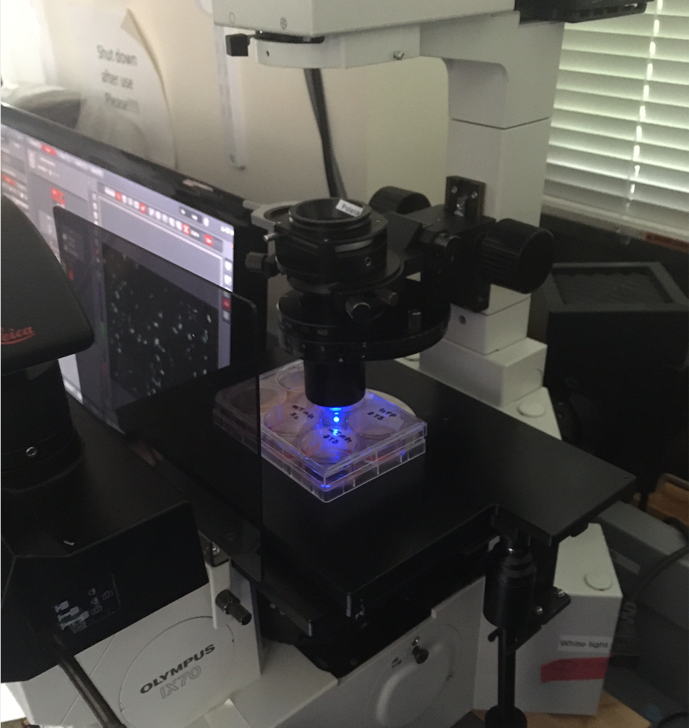 Medical Student Research