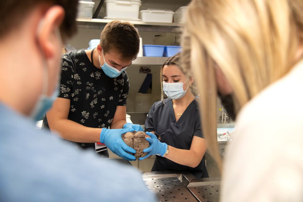 Medical Student Research