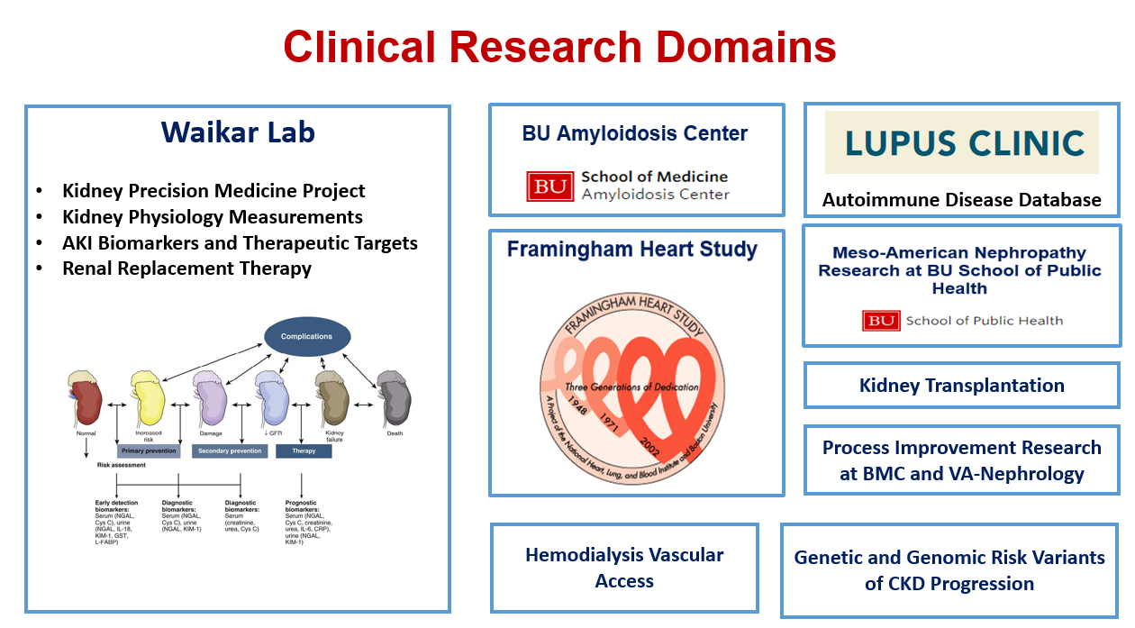 Nephrology Research | Nephrology