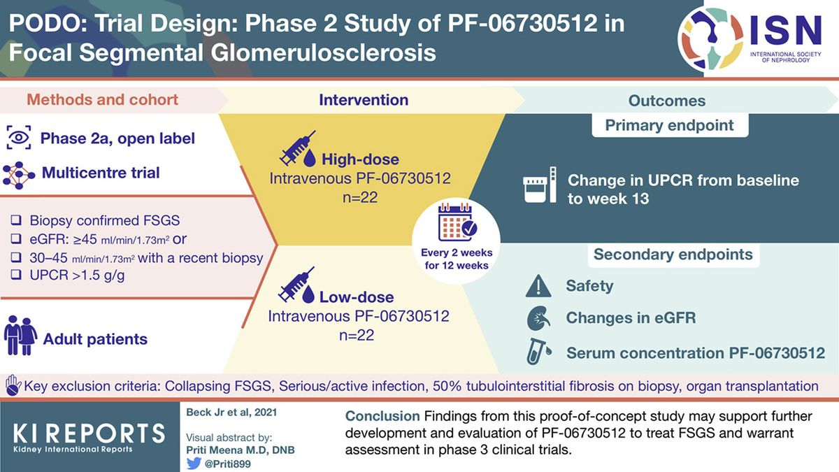 PODO Trial Design Paper Published in ISN Kidney International Reports ...