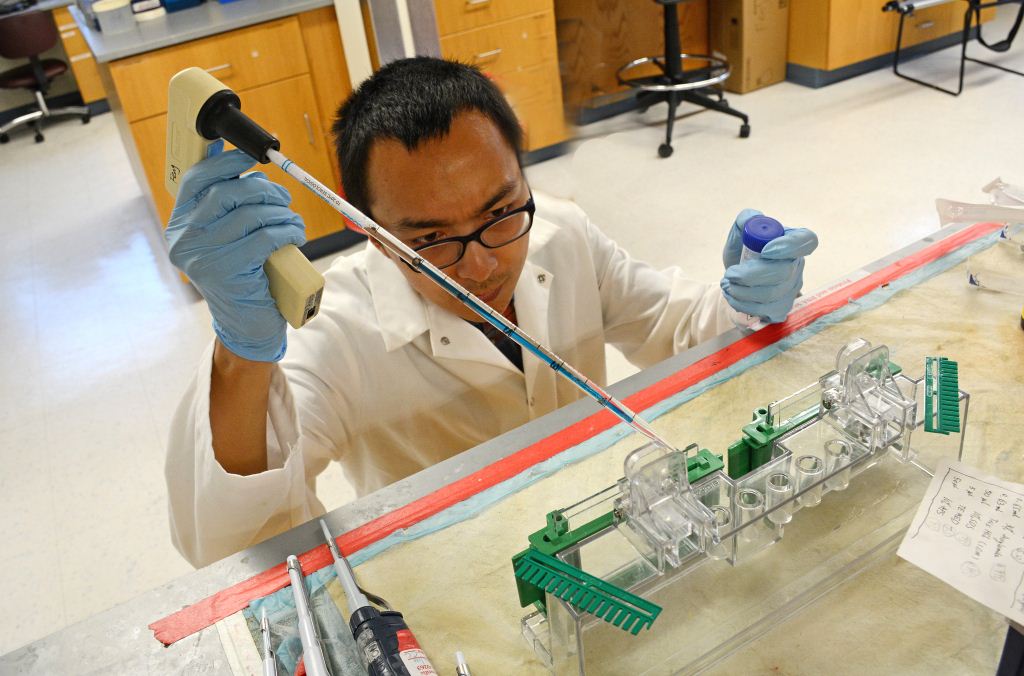 Pharmacology, Physiology & Biophysics