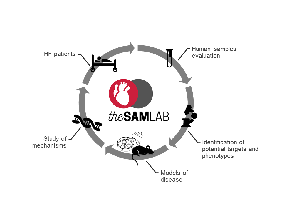 Sam Lab » Boston University