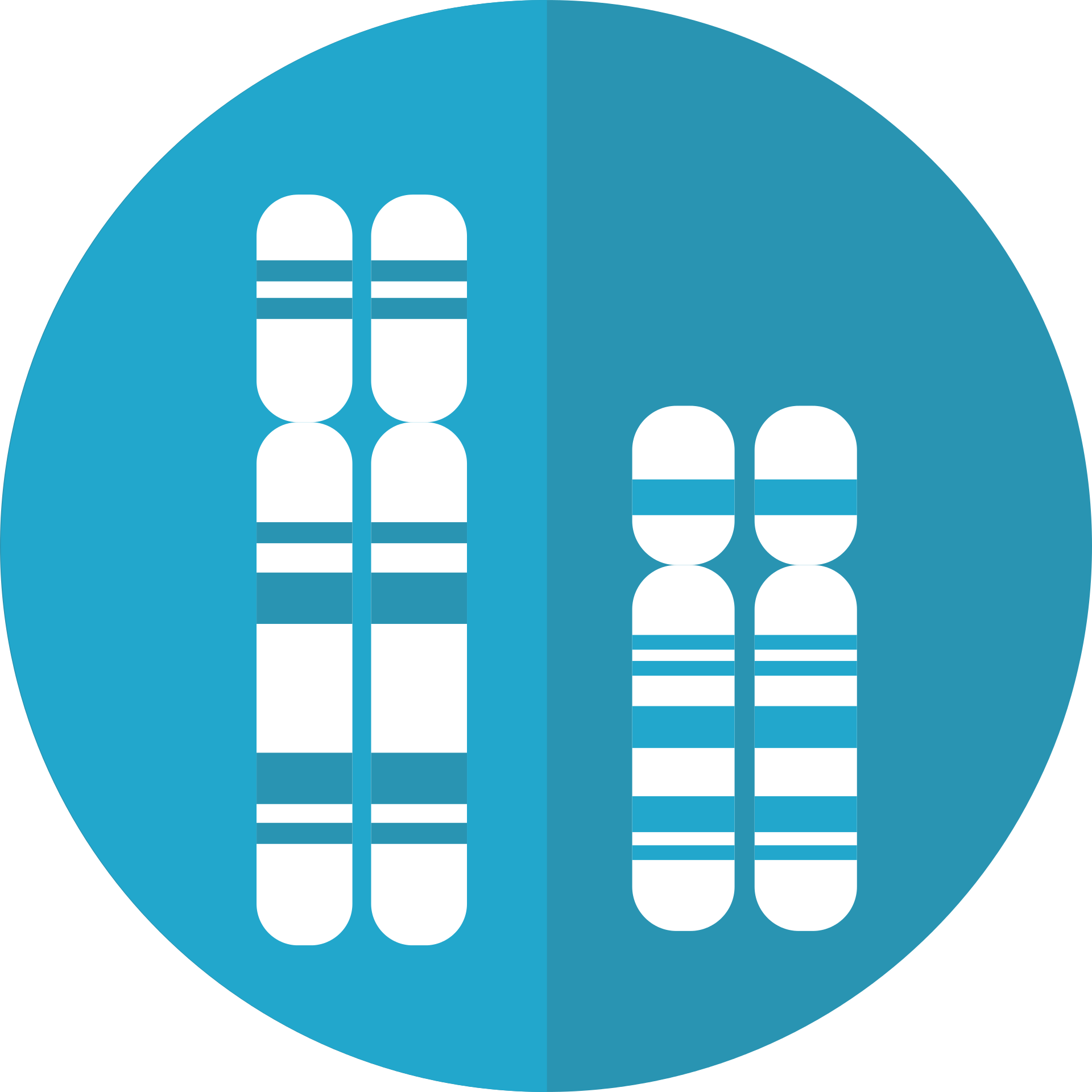 Single Cell Sequencing Core